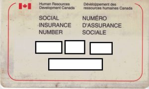 The Definitive Guide to Your Social Insurance Number (SIN)